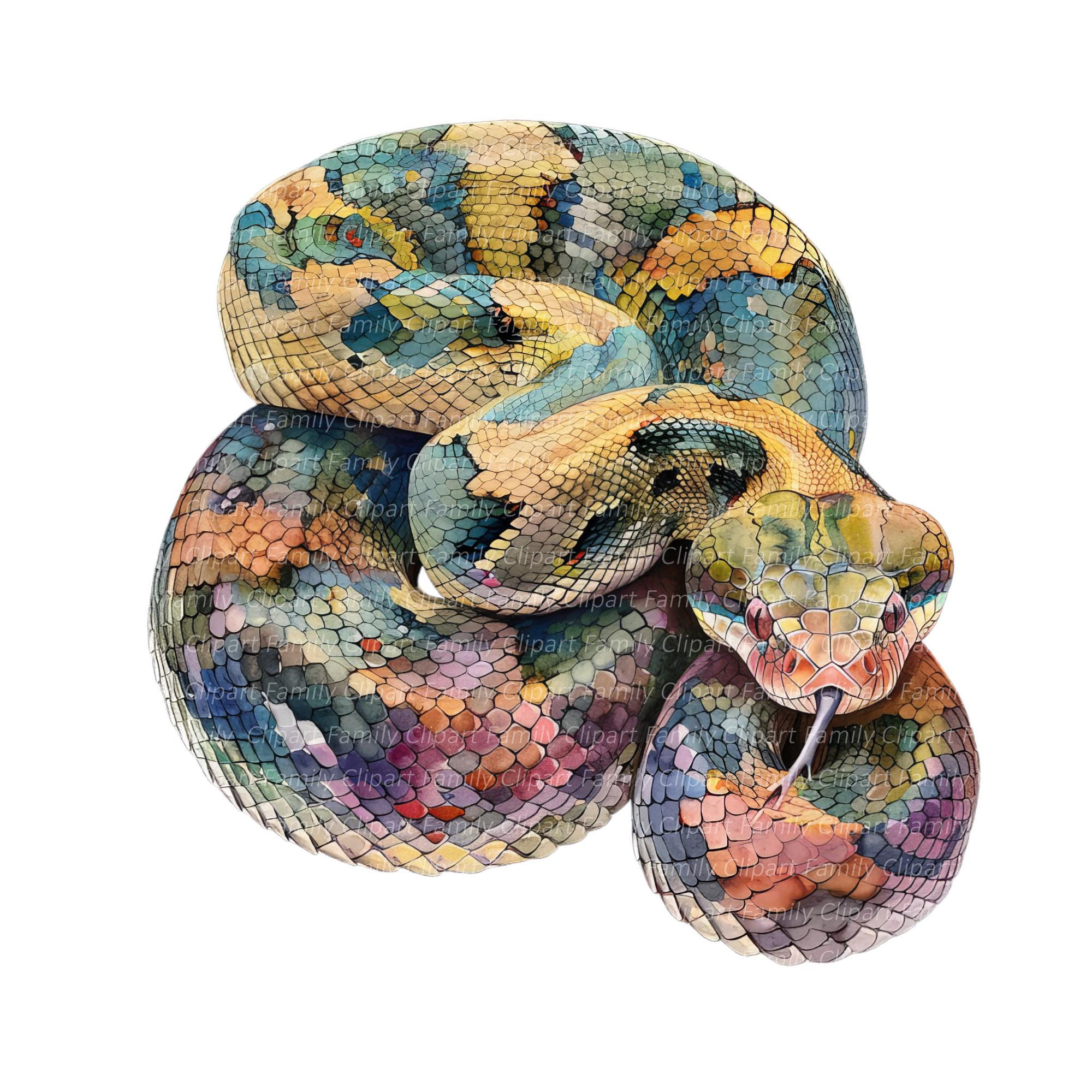 15 Watercolor Snakes Clipart, Snakes Clip Art, Printable Watercolor ...