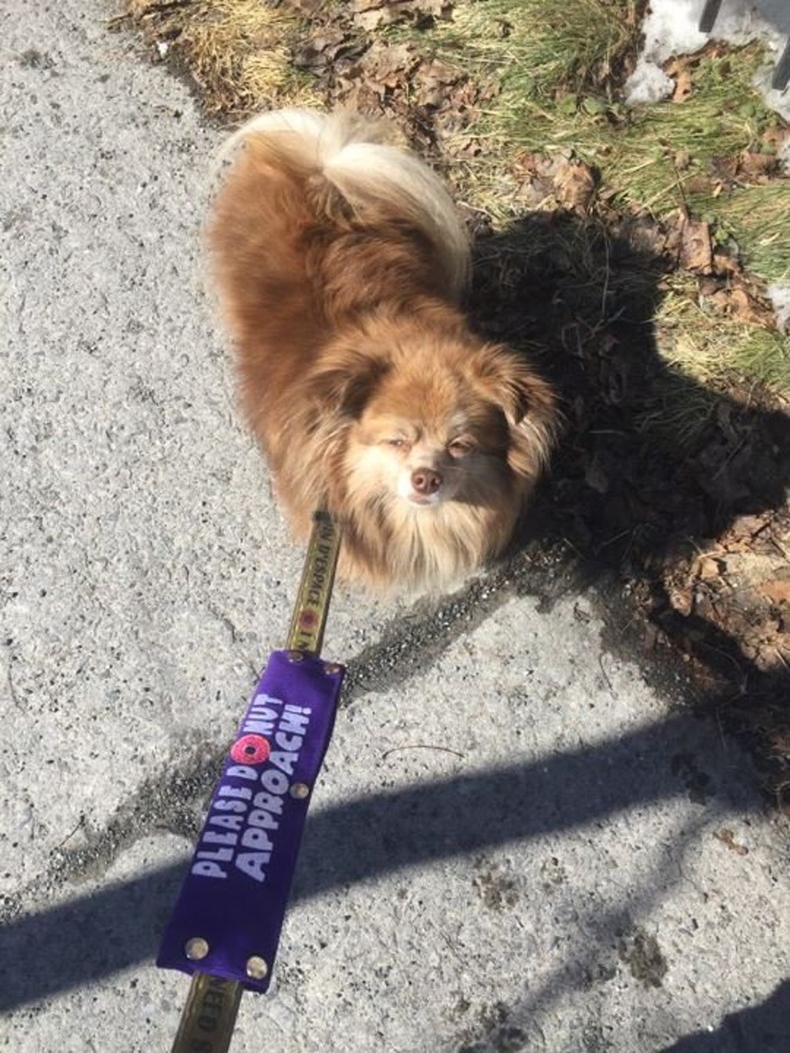 Give Me Space: I'm Bigger on the Inside leash Wrap Sleeve - Etsy