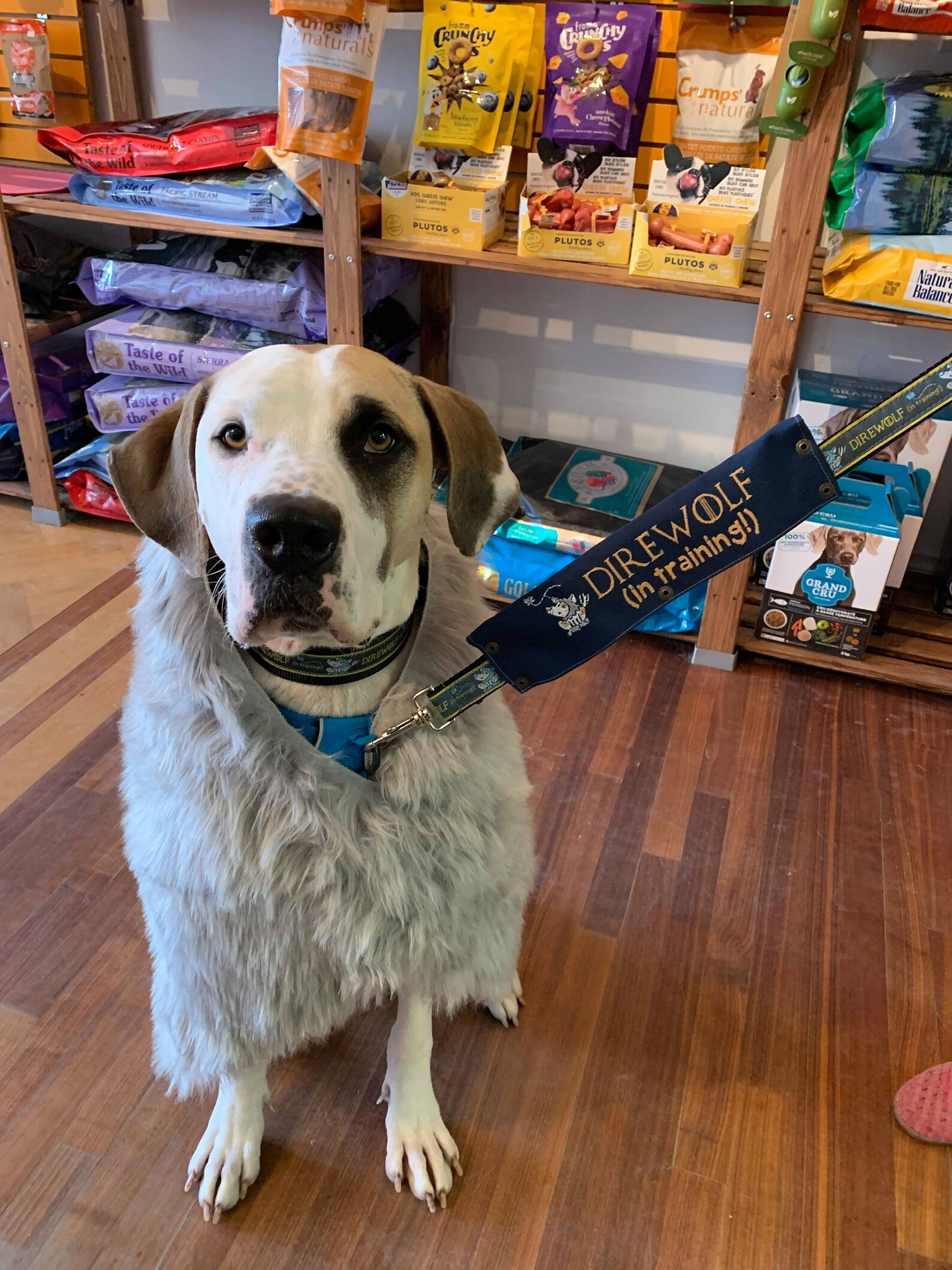 Give Me Space: I'm Bigger on the Inside -leash Wrap Sleeve - Etsy