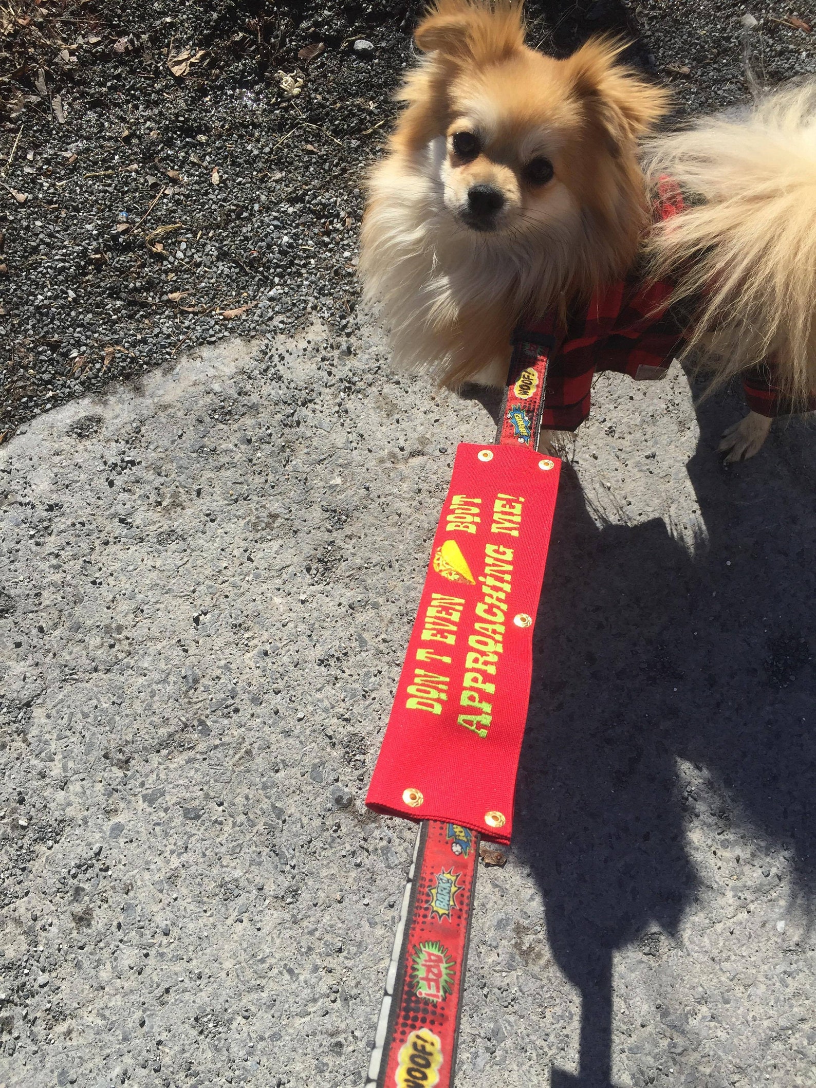 Give Me Space: I'm Bigger on the Inside leash Wrap Sleeve - Etsy