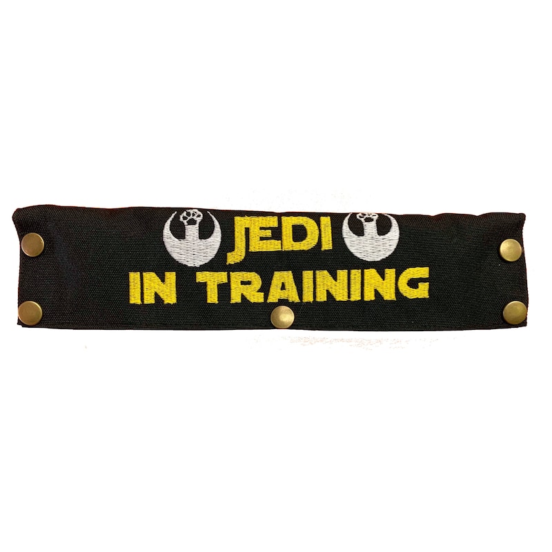 Jedi in Training - Etsy