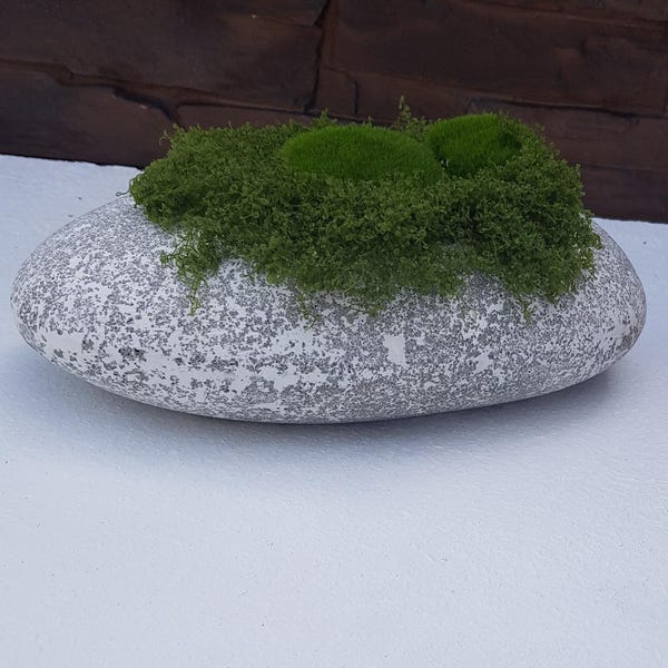 White Shallow Planter - Etsy