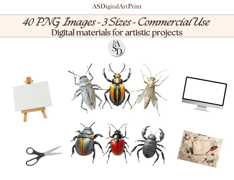 Insects & Beetles Collection - Clipart, Realistic Beetles, Entomology ...