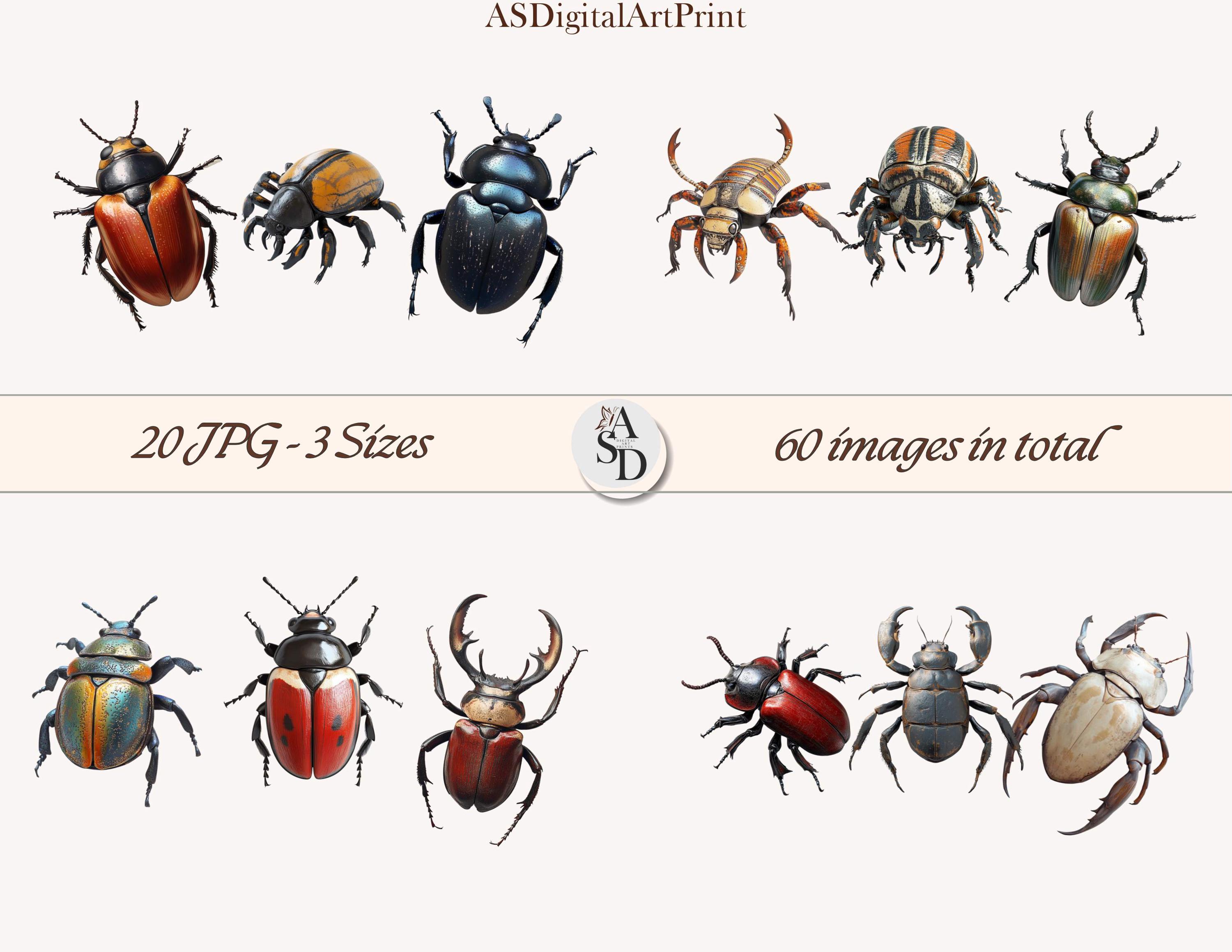 Realistic Insects & Beetles Clipart: 40 PNG Designs (digital Download ...