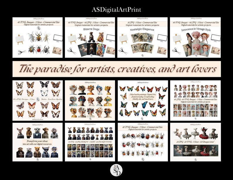 Realistic Insects & Beetles Clipart: 40 PNG Designs (digital Download ...