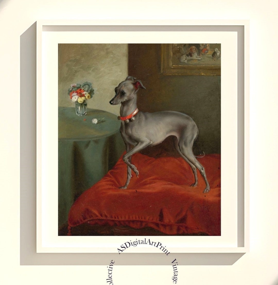 Gray Italian Greyhound - Printable Digital Poster - Home Decor, Wall ...