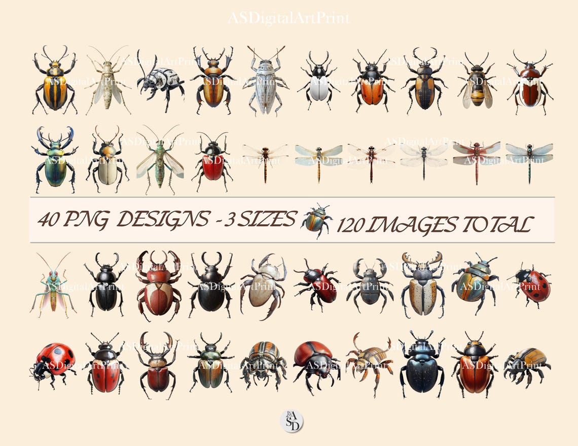 Realistic Insects & Beetles Clipart: 40 PNG Designs (digital Download ...