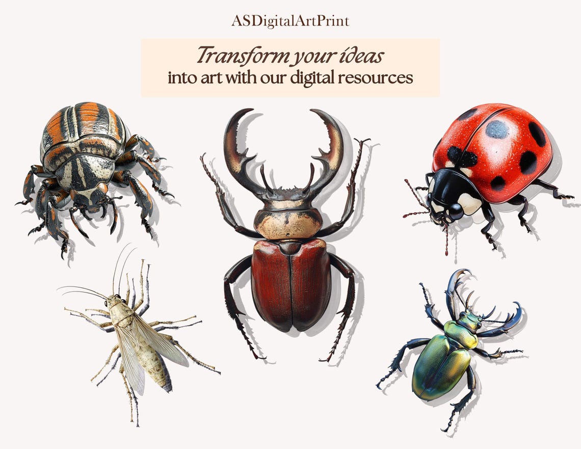 Realistic Insects & Beetles Clipart: 40 PNG Designs (digital Download ...