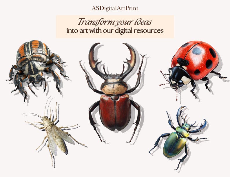Realistic Insects & Beetles Clipart: 40 PNG Designs (digital Download ...