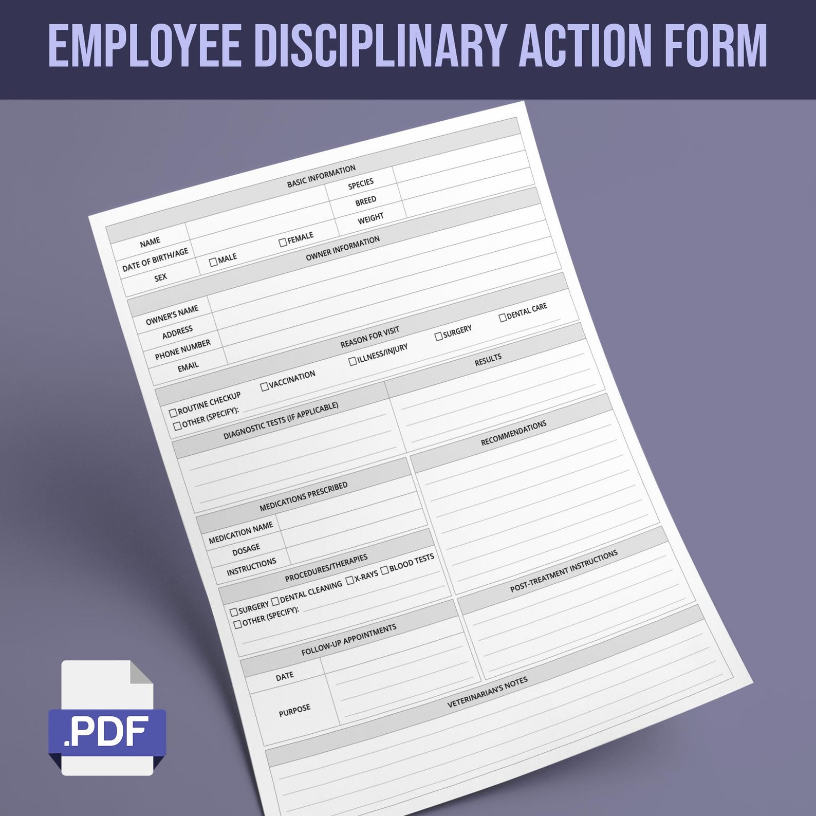 Employee Disciplinary Action Form - Etsy