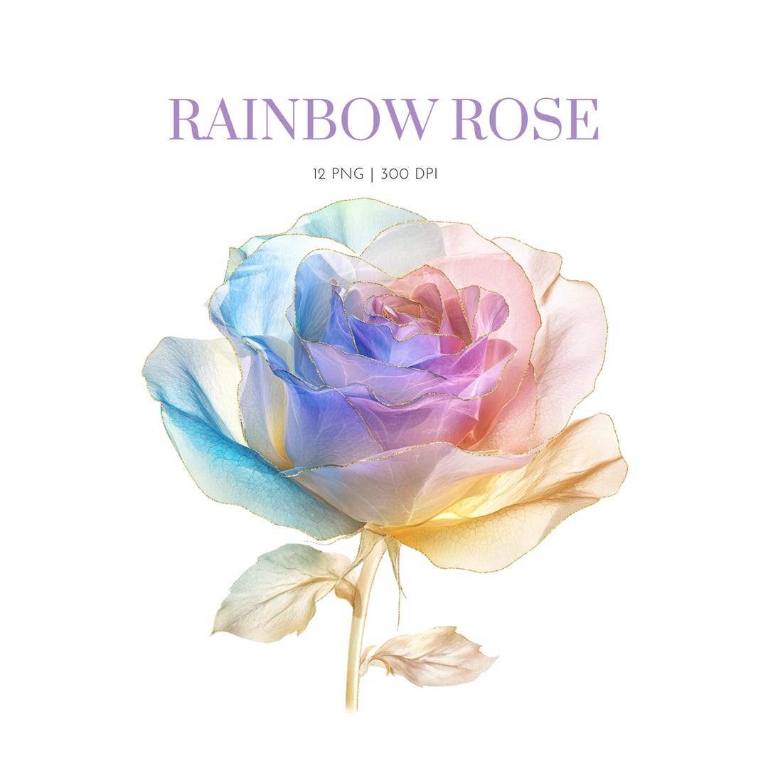 Rainbow Rose PNG, Roses Watercolor Clipart, Watercolor Rose Clipart ...
