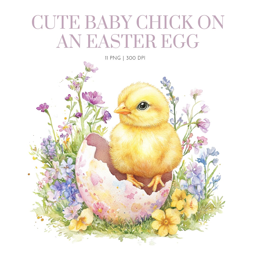 Easter Chick Hatching Clipart, Chicken Egg, Easter Watercolor Clipart ...