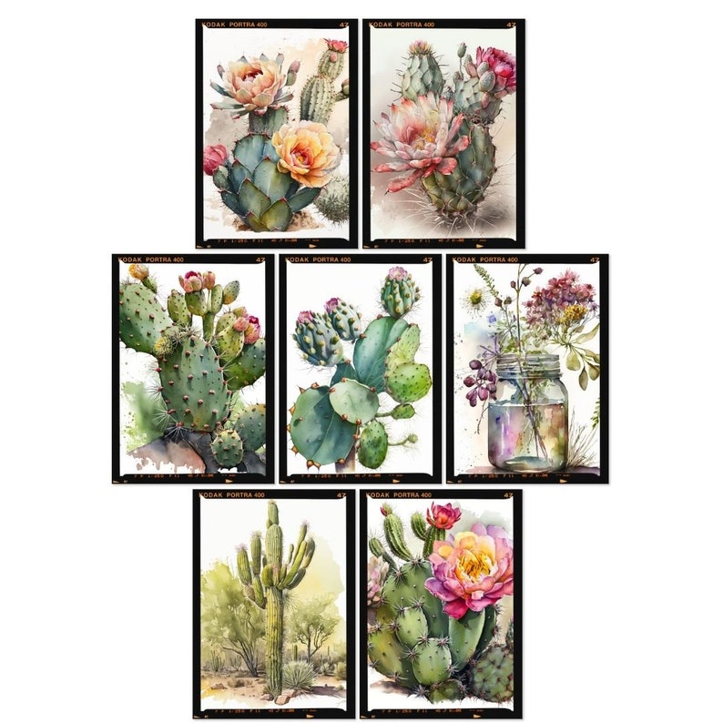 Watercolors Cactus Clipart Printable Decoration Home Decor Digital Download Transparent PNG ...