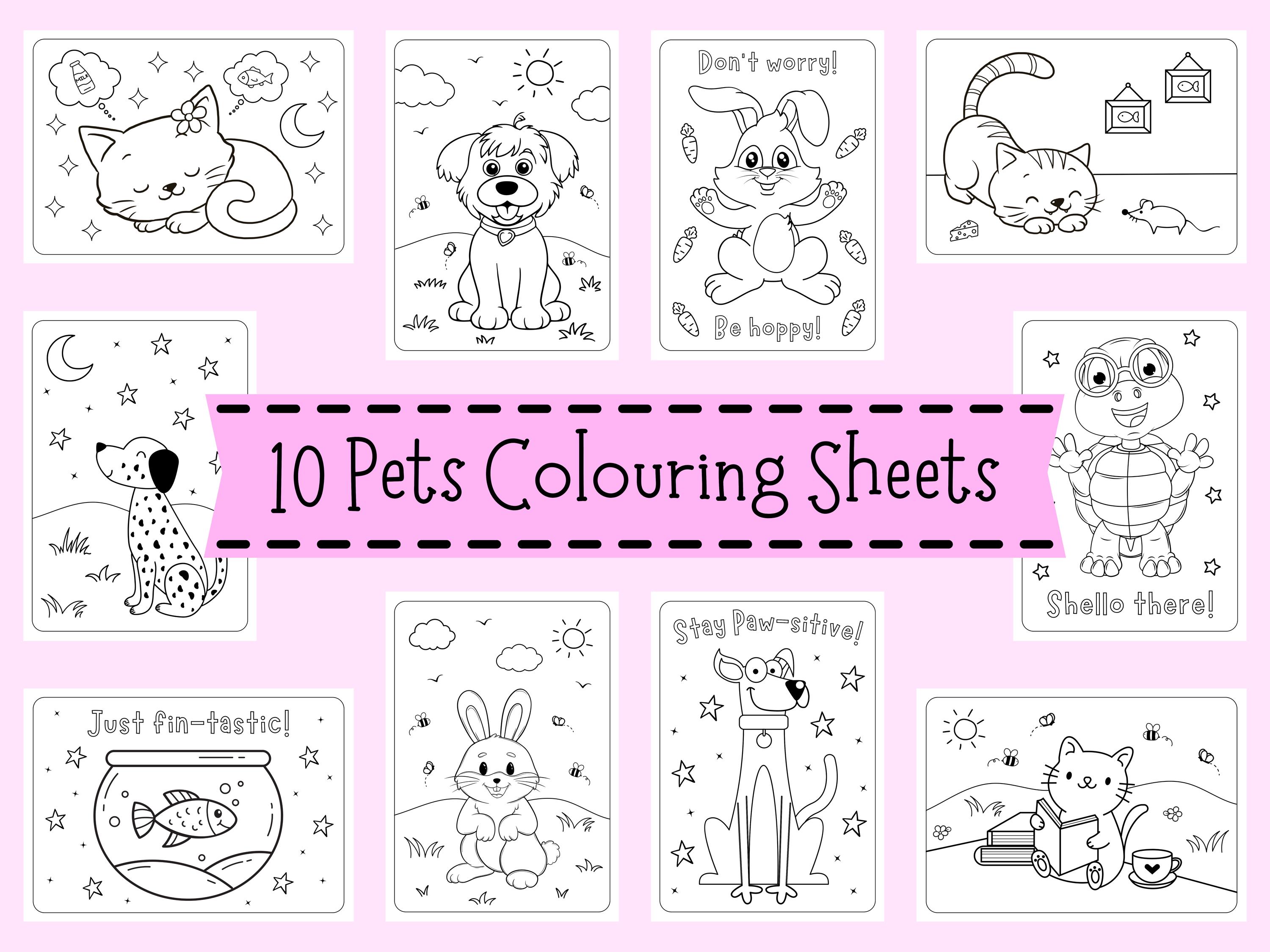 Pets Colouring Sheets for Children - Pets Coloring Pages for Kids ...