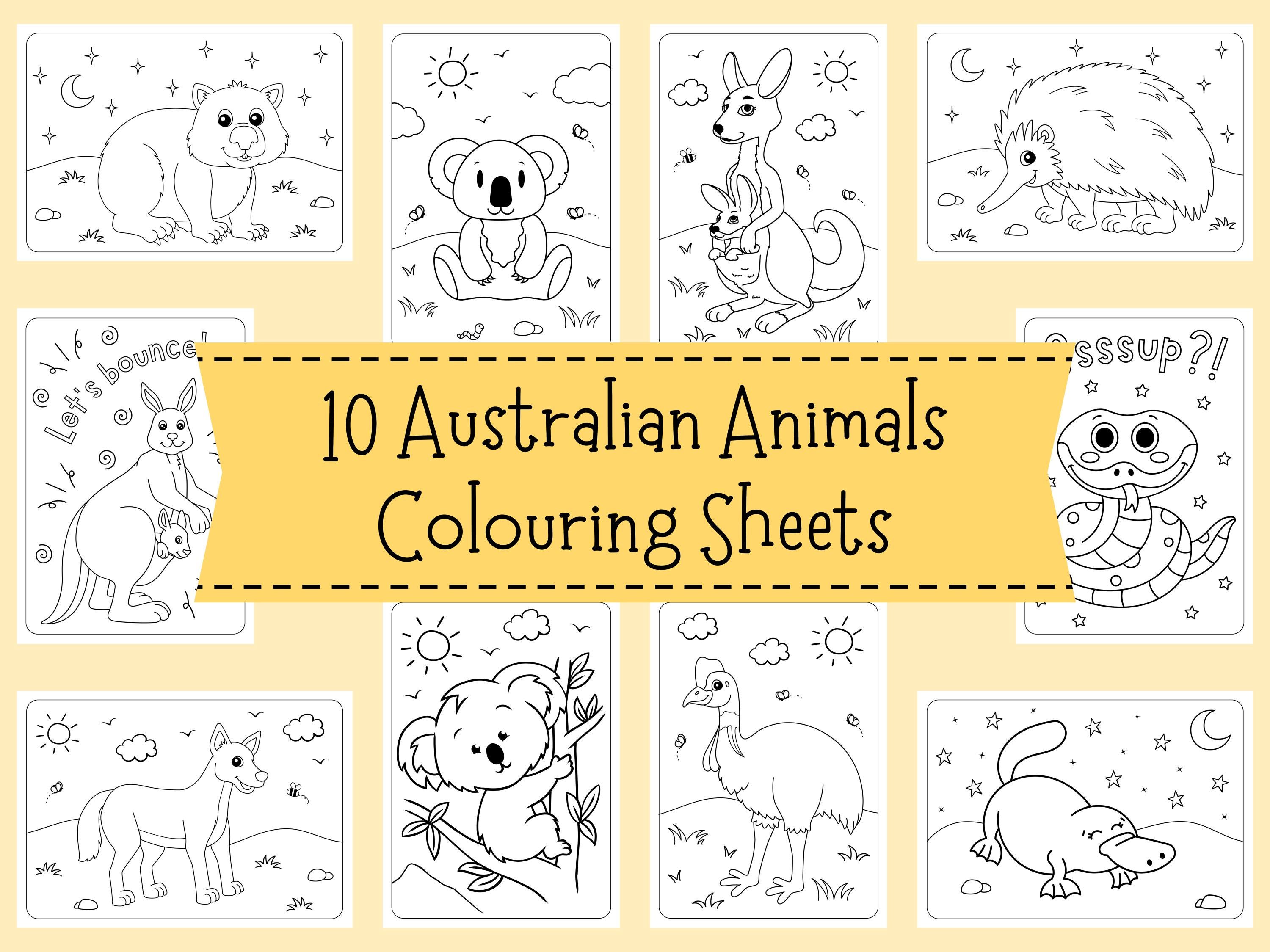 Australian Animals Colouring Sheets for Children Australian Animals ...