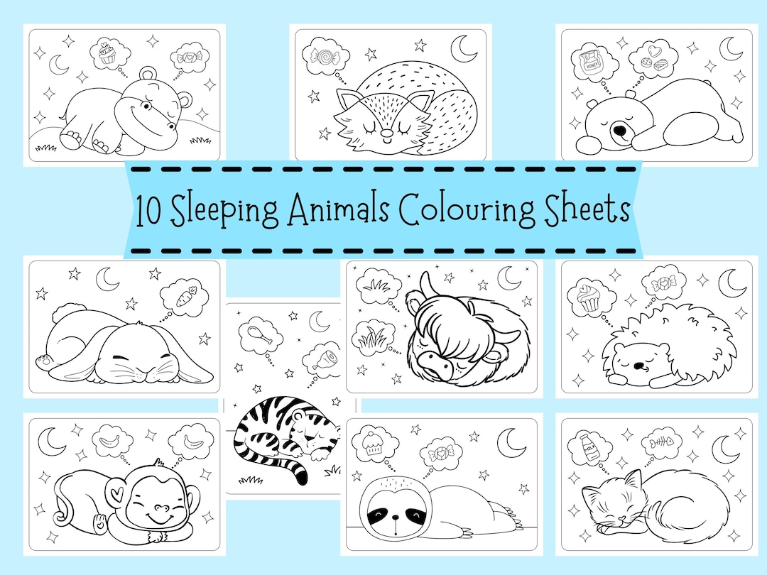 Sleeping Animals Colouring Sheets - Bedtime Colouring for Children ...