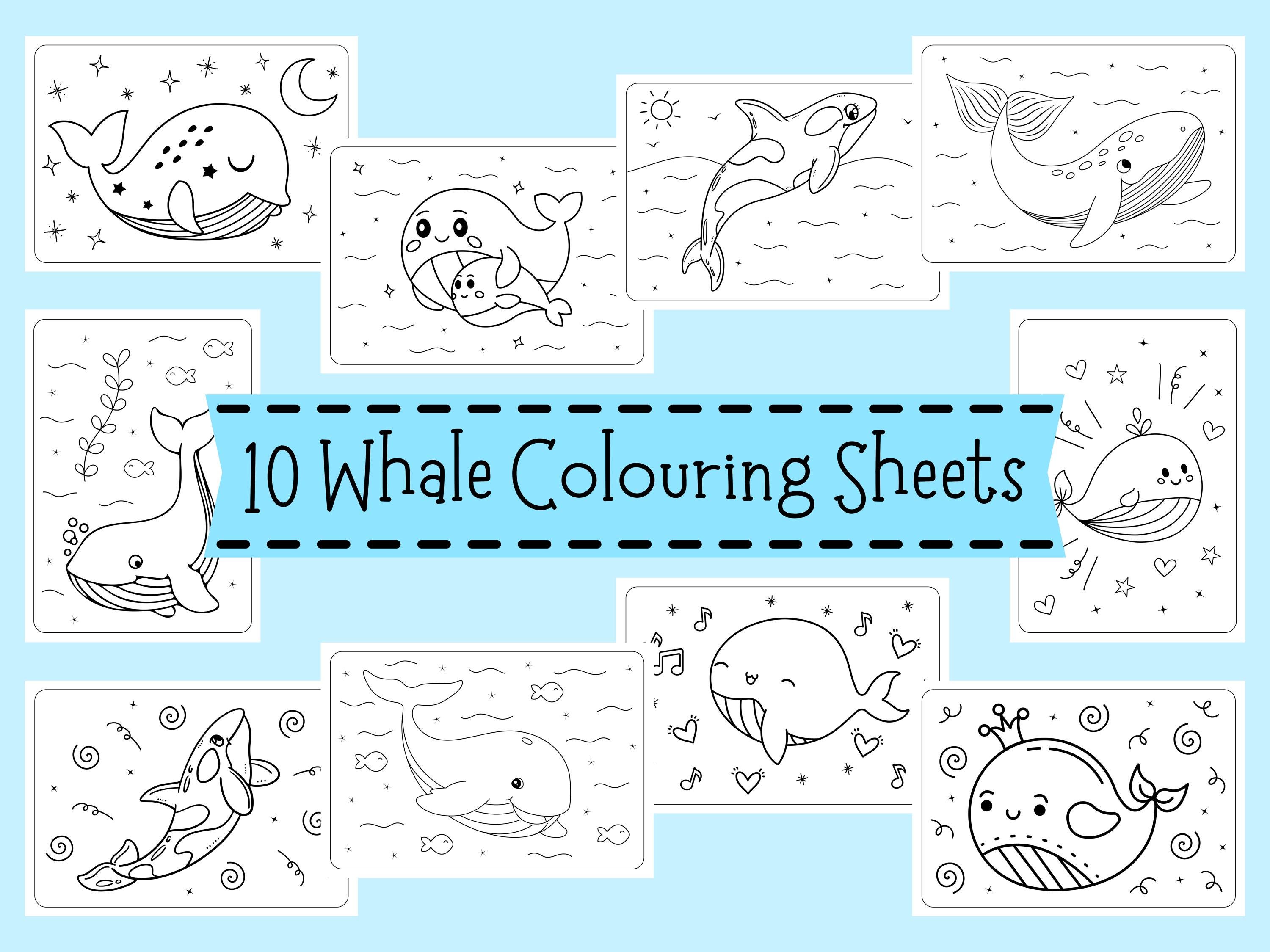 Whale Colouring Sheets for Children - Whale Coloring Pages for Kids ...