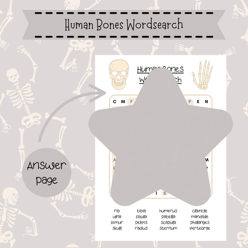 Human Bones Word Search: Skeleton Activity Game (PDF Printable Download ...