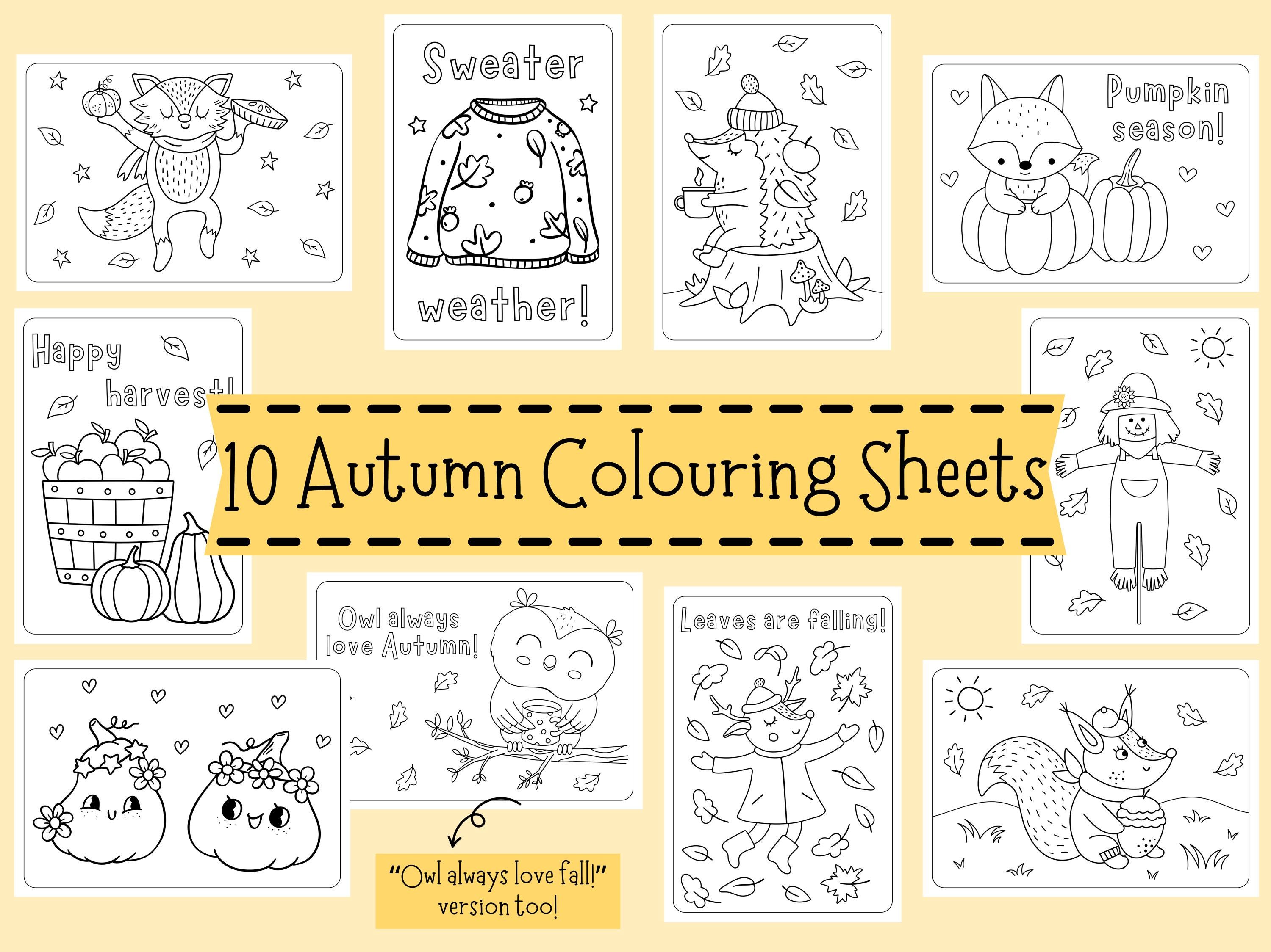 Autumn Colouring Sheets for Children - Autumn Coloring Pages for Kids ...