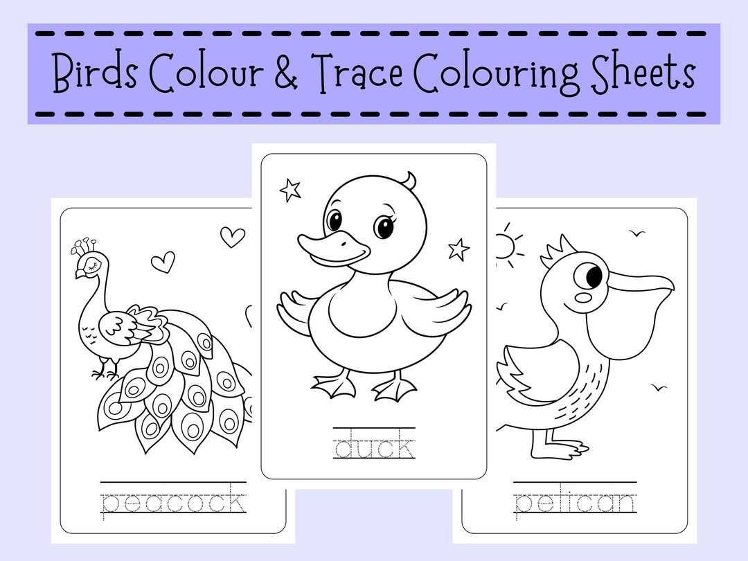 Birds Coloring Pages – Color and Trace, Kids Activity (digital Download ...
