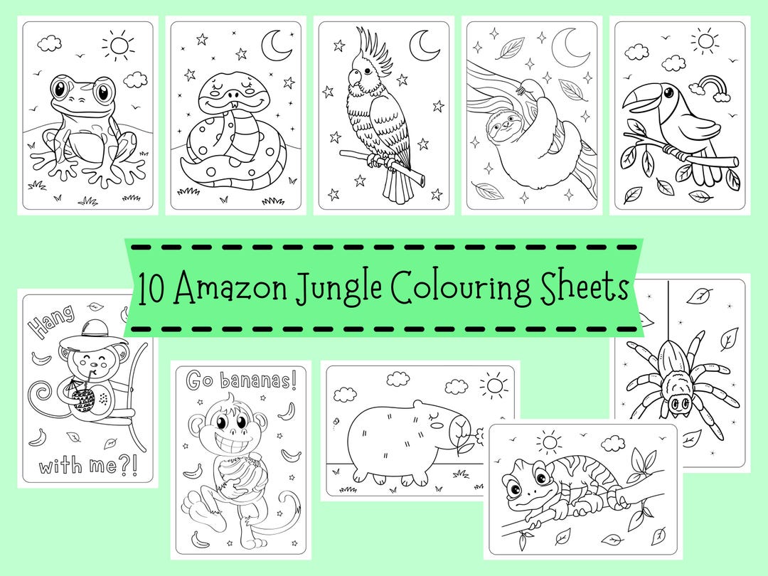 Jungle Animal Colouring Sheets for Children - Rainforest Animals ...
