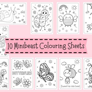 Minibeast Colouring Sheets - Minibeast Colouring for Children - Insect ...