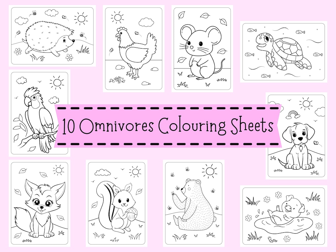 Omnivore Animal Coloring Pages - Kids Learning Activity (PDF Download ...