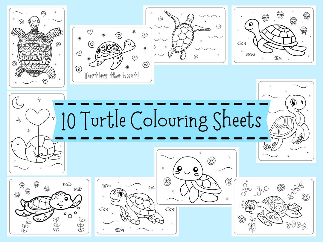 Turtle Colouring Sheets - Turtle Colouring for Children - Turtle ...