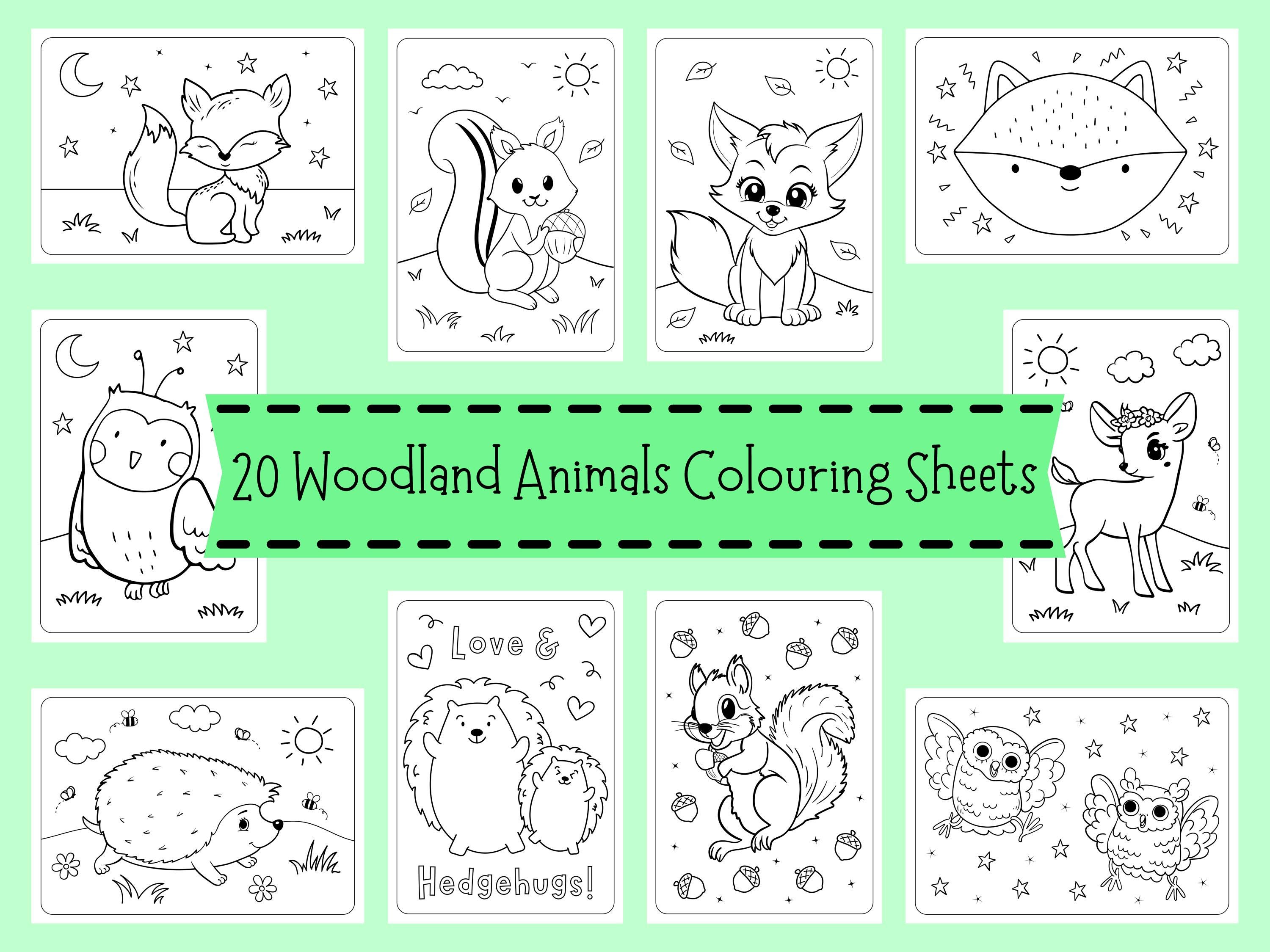 Woodland Animals Colouring Sheets for Children - Forest Coloring Pages ...