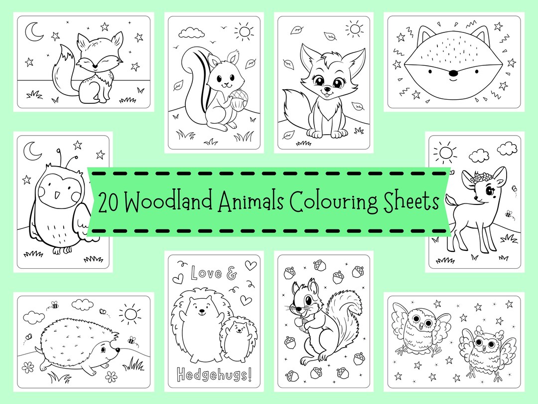 Woodland Animals Colouring Sheets - Forest Colouring for Children ...