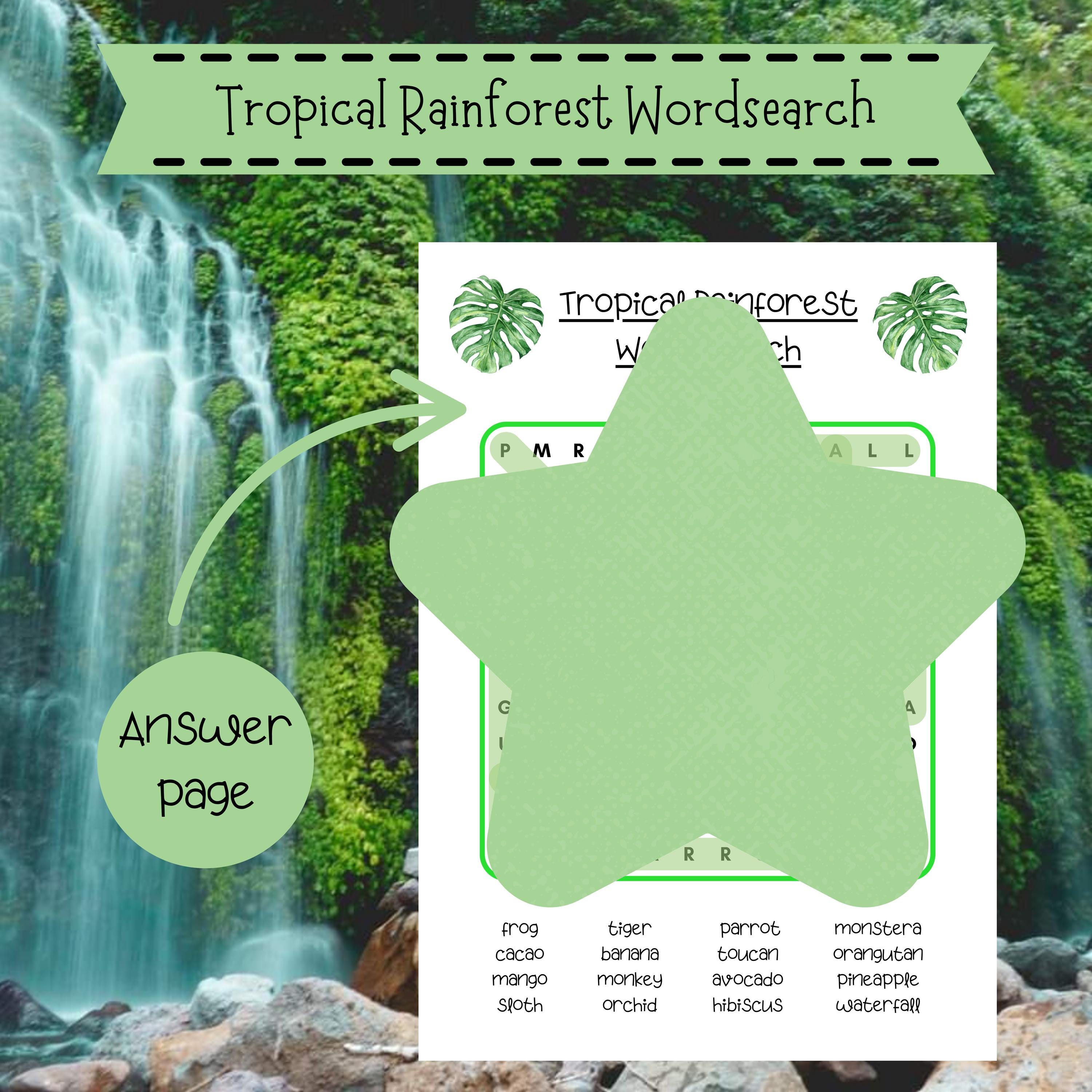 Tropical Rainforest Word Search: Fun Jungle Activity (PDF Printable - Etsy