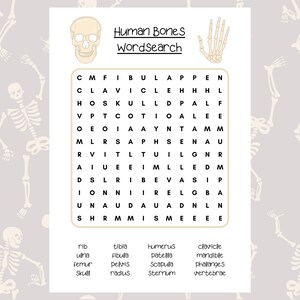 Human Bones Word Search: Skeleton Activity Game (PDF Printable Download ...