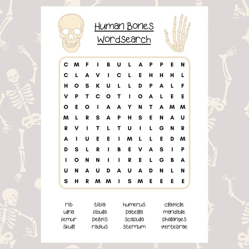 Human Bones Word Search: Skeleton Activity Game (PDF Printable Download ...
