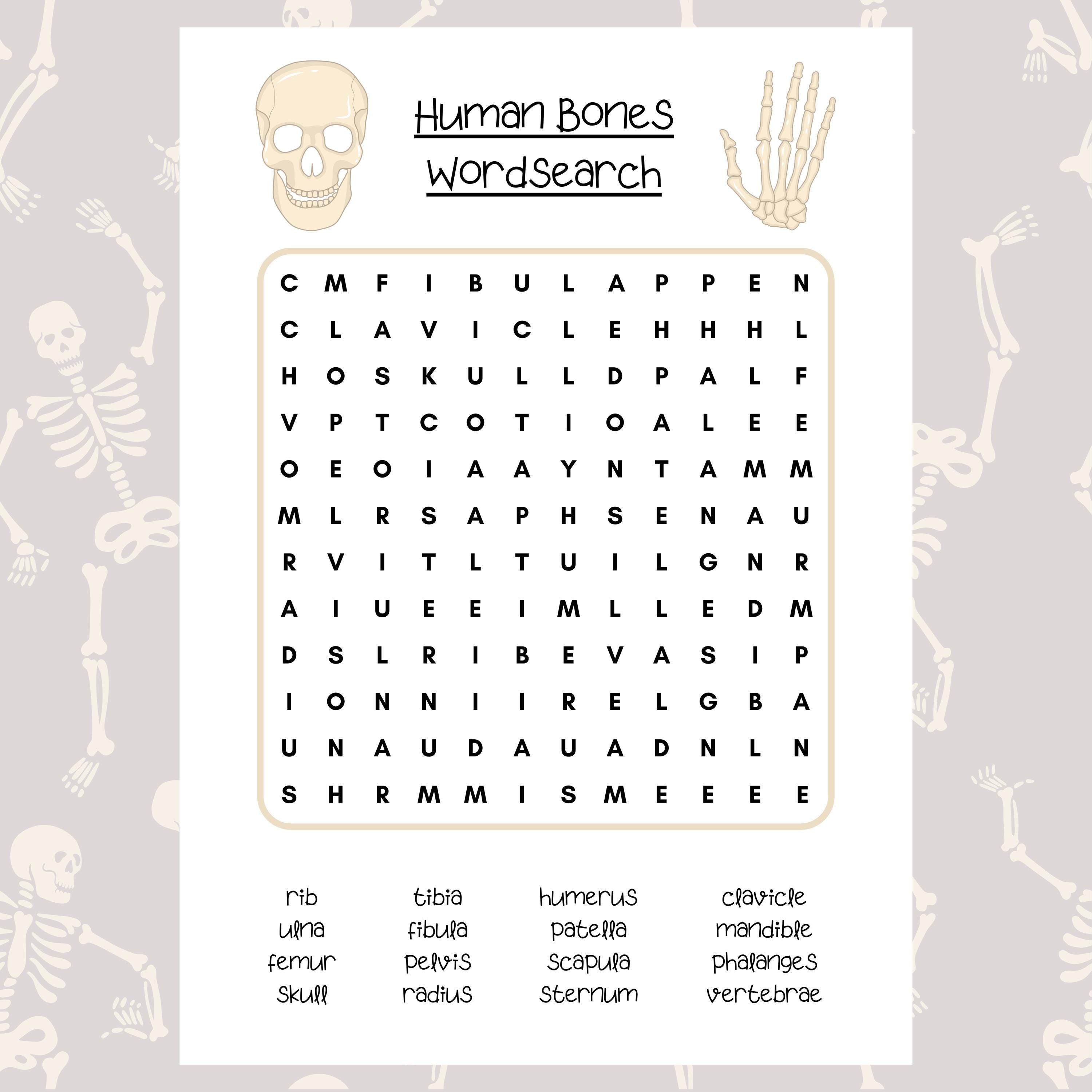 Human Bones Word Search: Skeleton Activity Game (PDF Printable Download ...