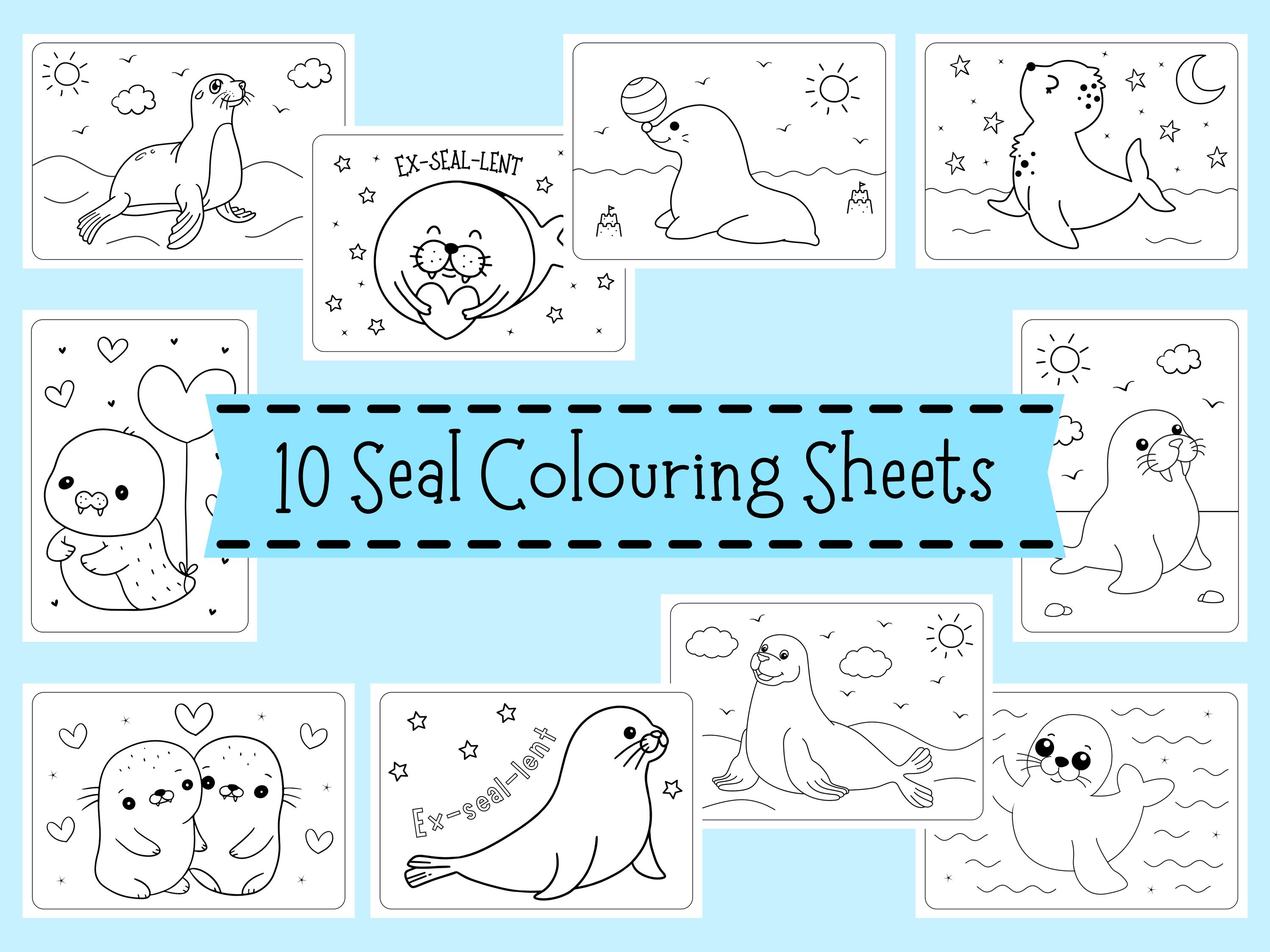 Seal Colouring Sheets - Seal Colouring for Children - Seal Coloring ...