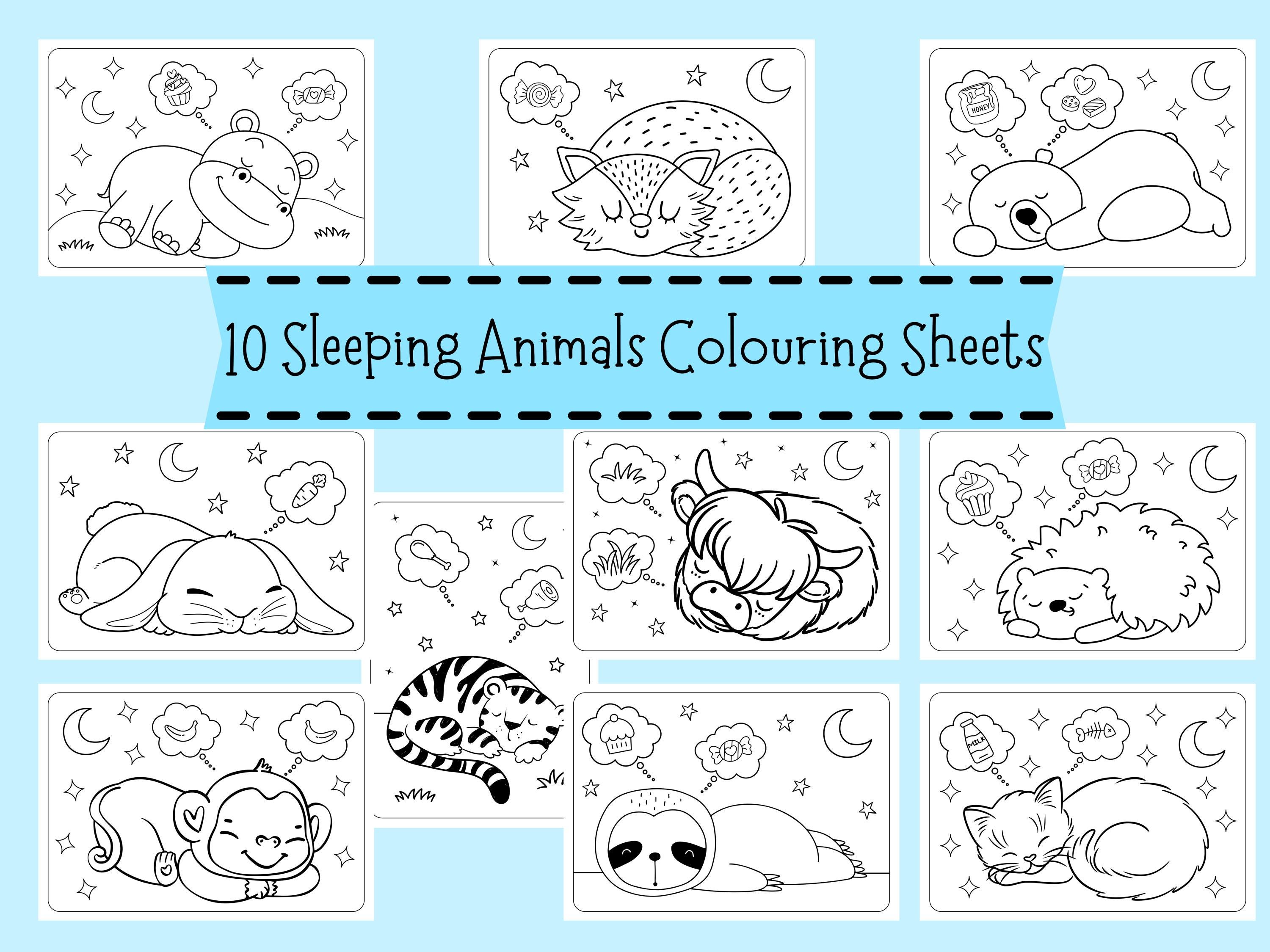 Sleeping Animals Colouring Sheets for Children - Cute Bedtime Coloring ...