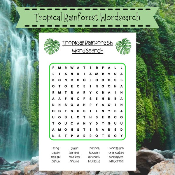 Tropical Rainforest - Etsy