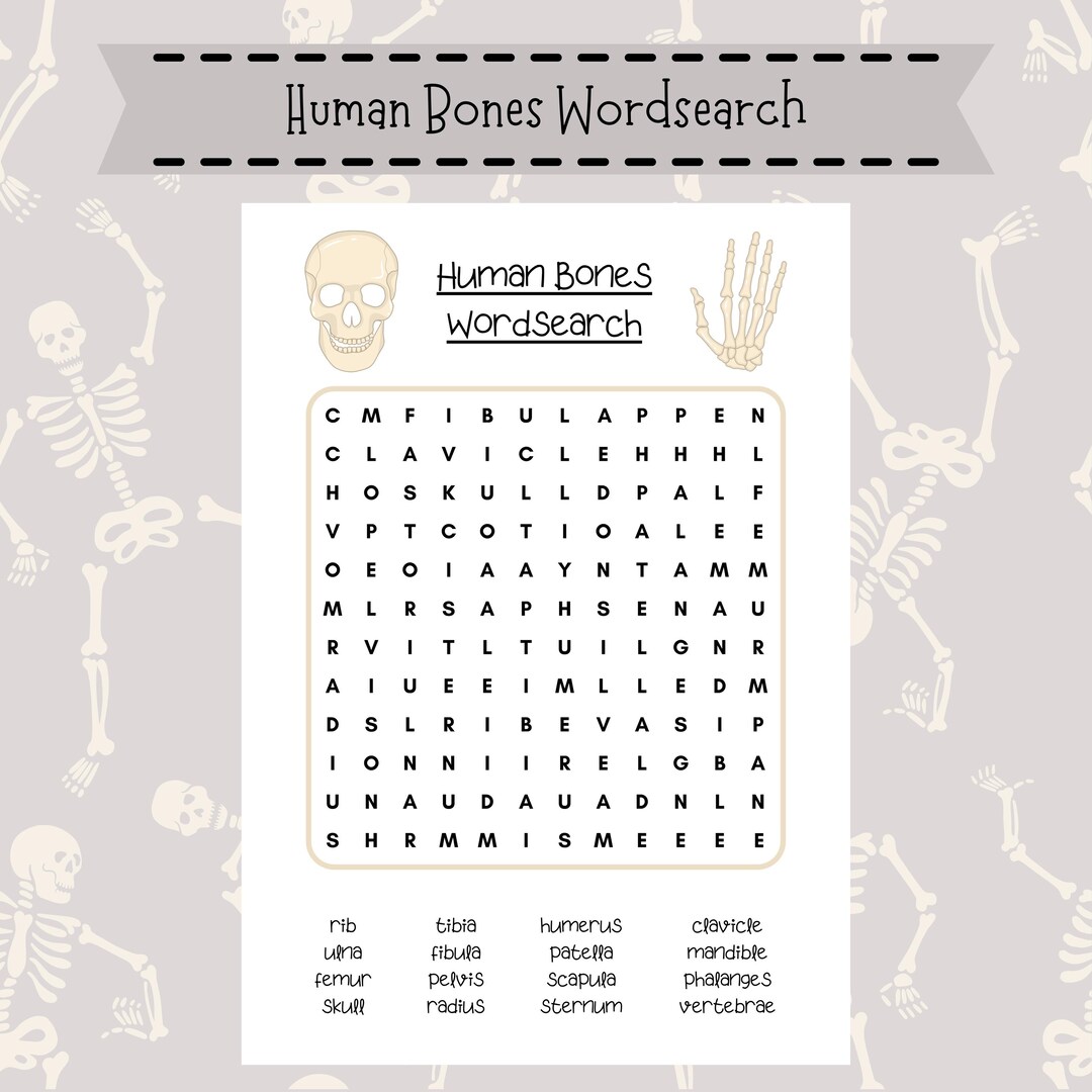 Human Bones Word Search: Skeleton Activity Game (PDF Printable Download ...