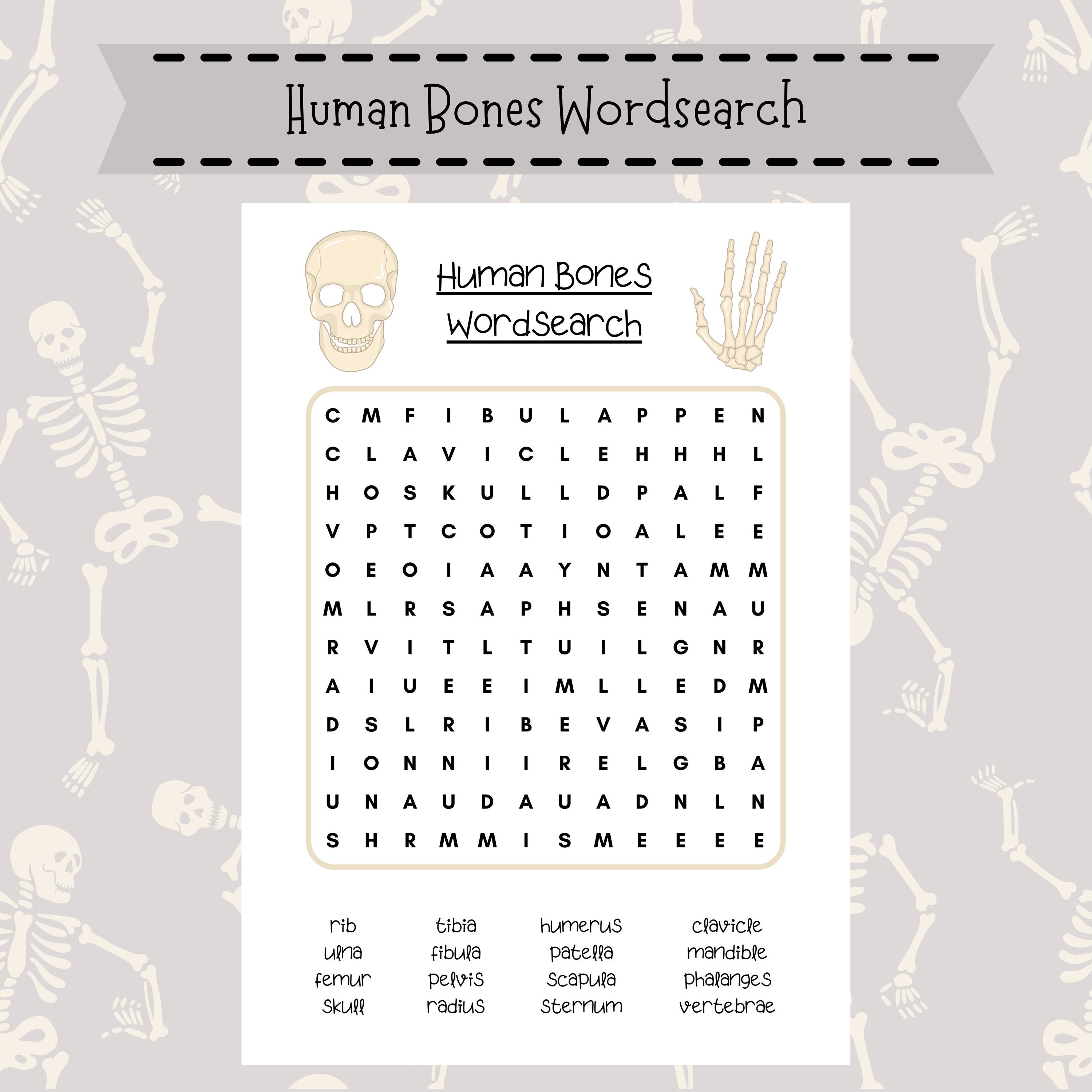 Human Bones Word Search: Skeleton Activity Game (PDF Printable Download ...