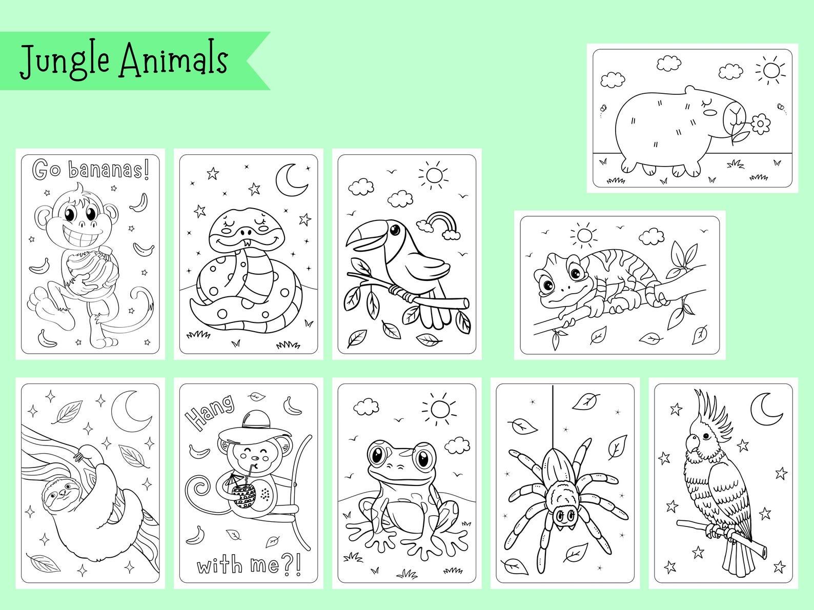 Jungle Animal Colouring Sheets for Children - Rainforest Animals ...