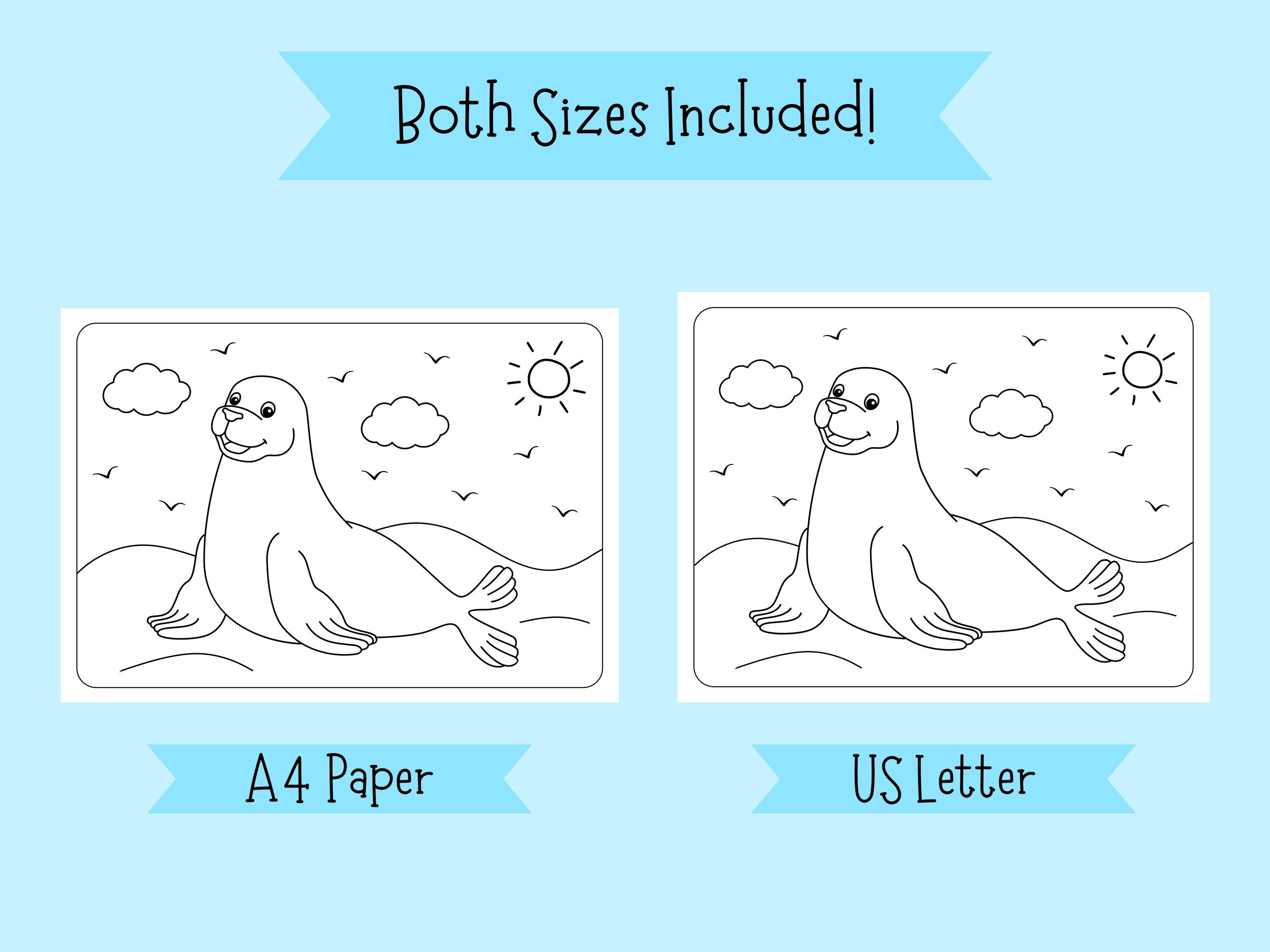 Seal Colouring Sheets - Seal Colouring for Children - Seal Coloring ...