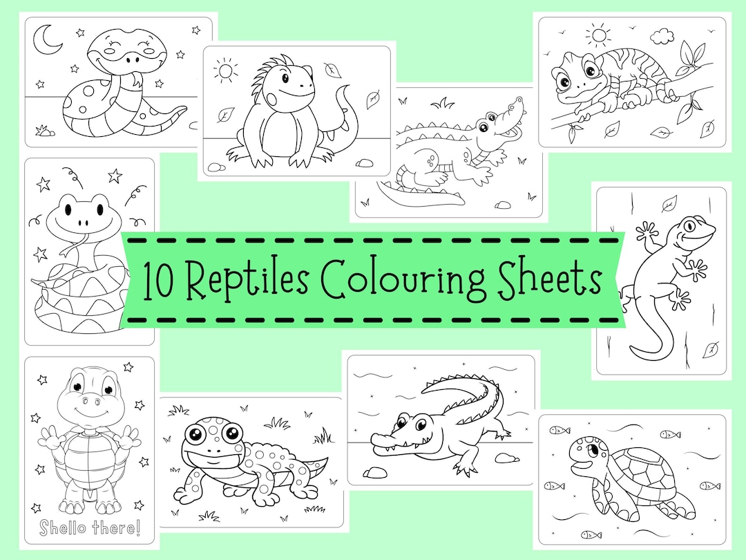 Hojas para colorear de reptiles para niños - Páginas para colorear de ...