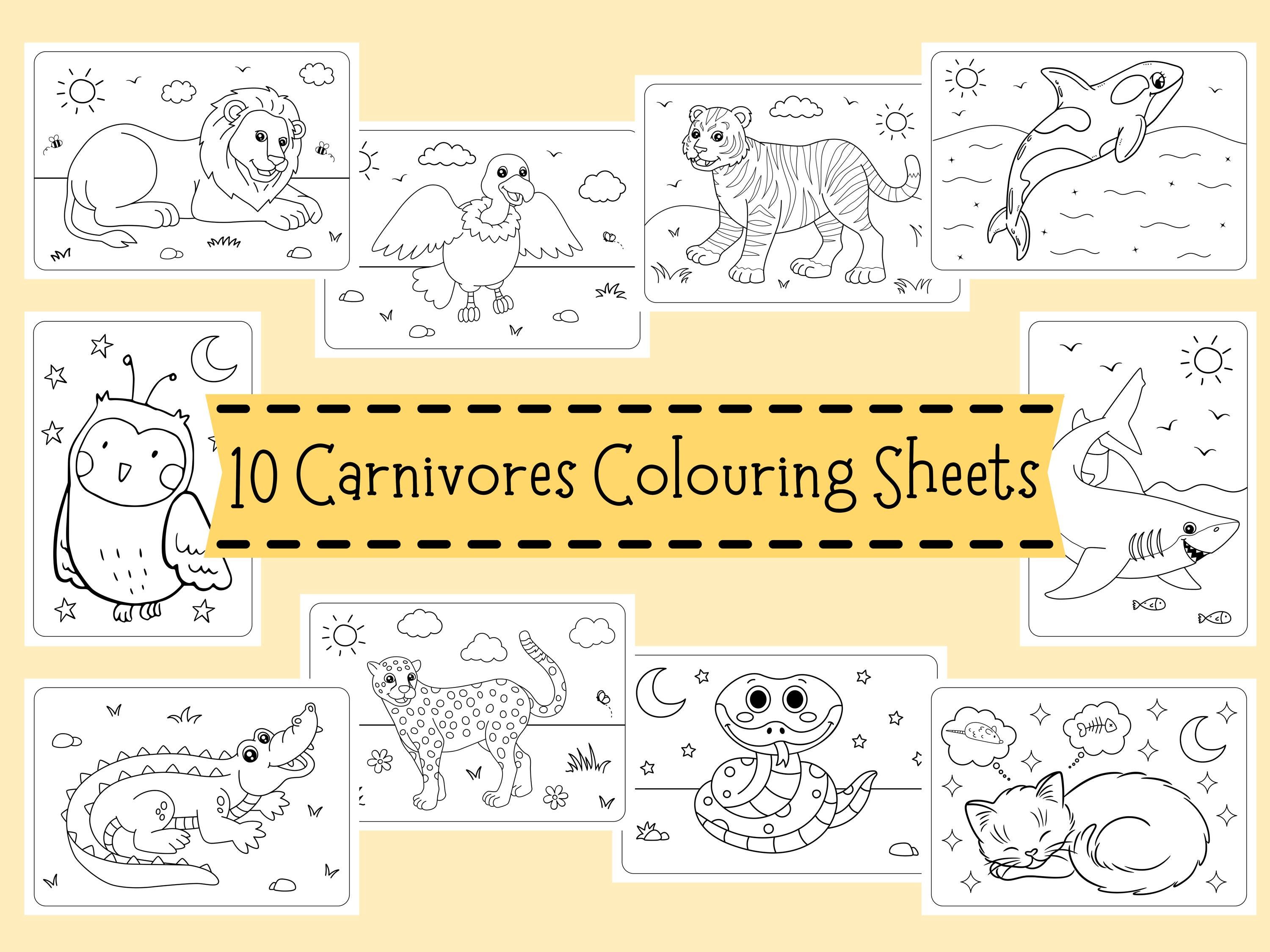 Carnivores Colouring Sheets for Children - Wild Animal Coloring Pages ...