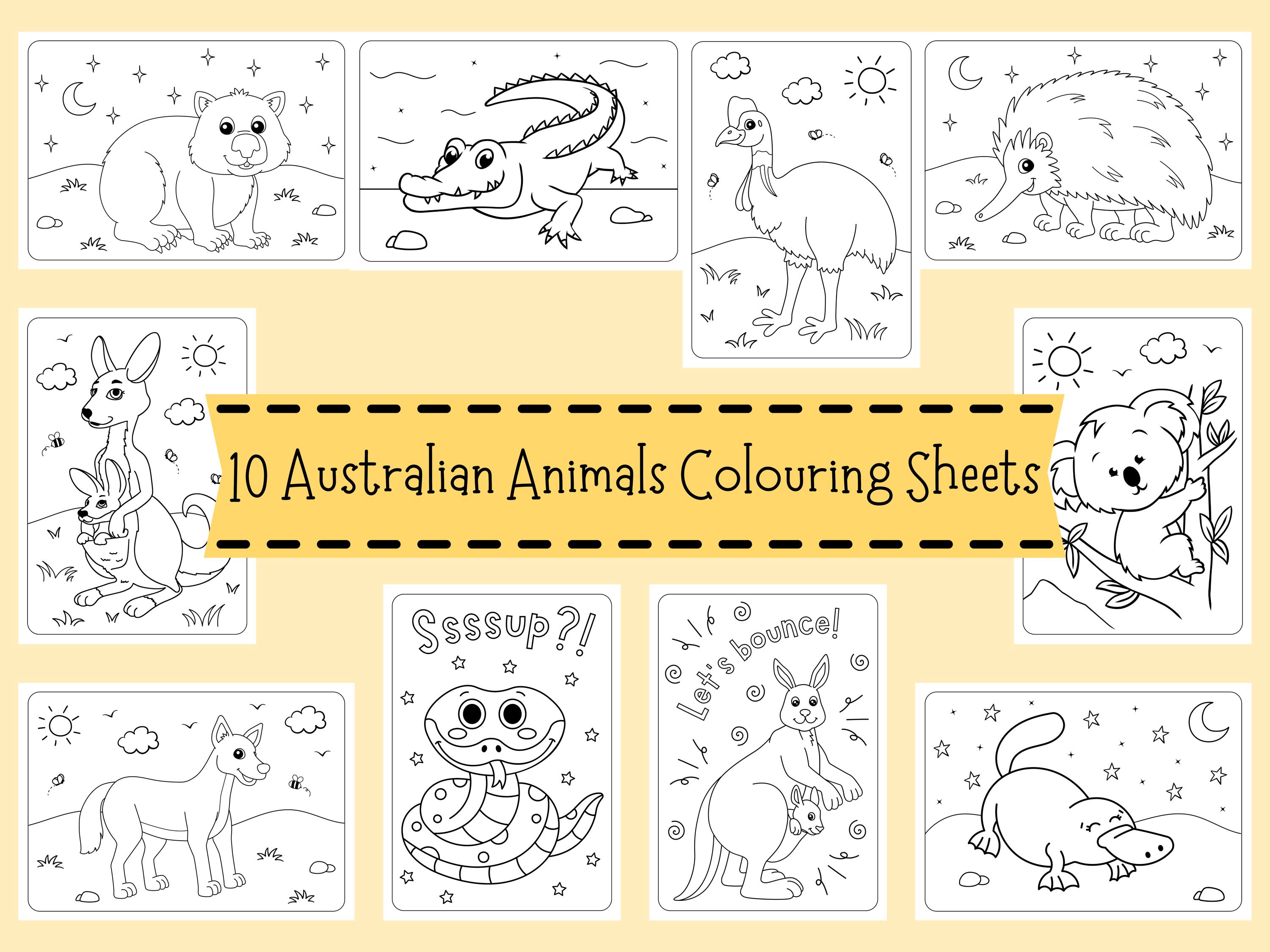 Australian Animals Colouring Sheets for Children - Australian Animals ...
