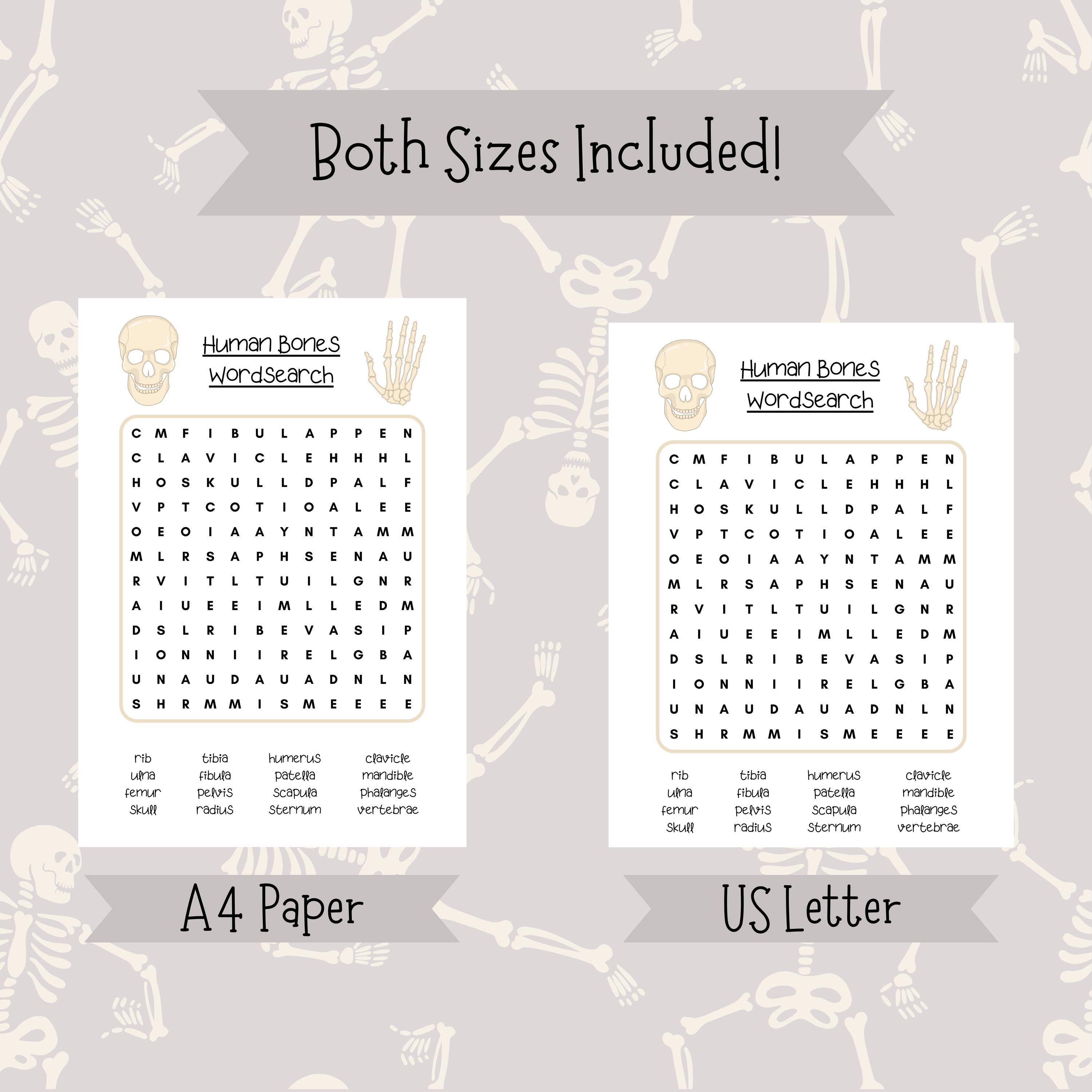 Human Bones Word Search: Skeleton Activity Game (PDF Printable Download ...