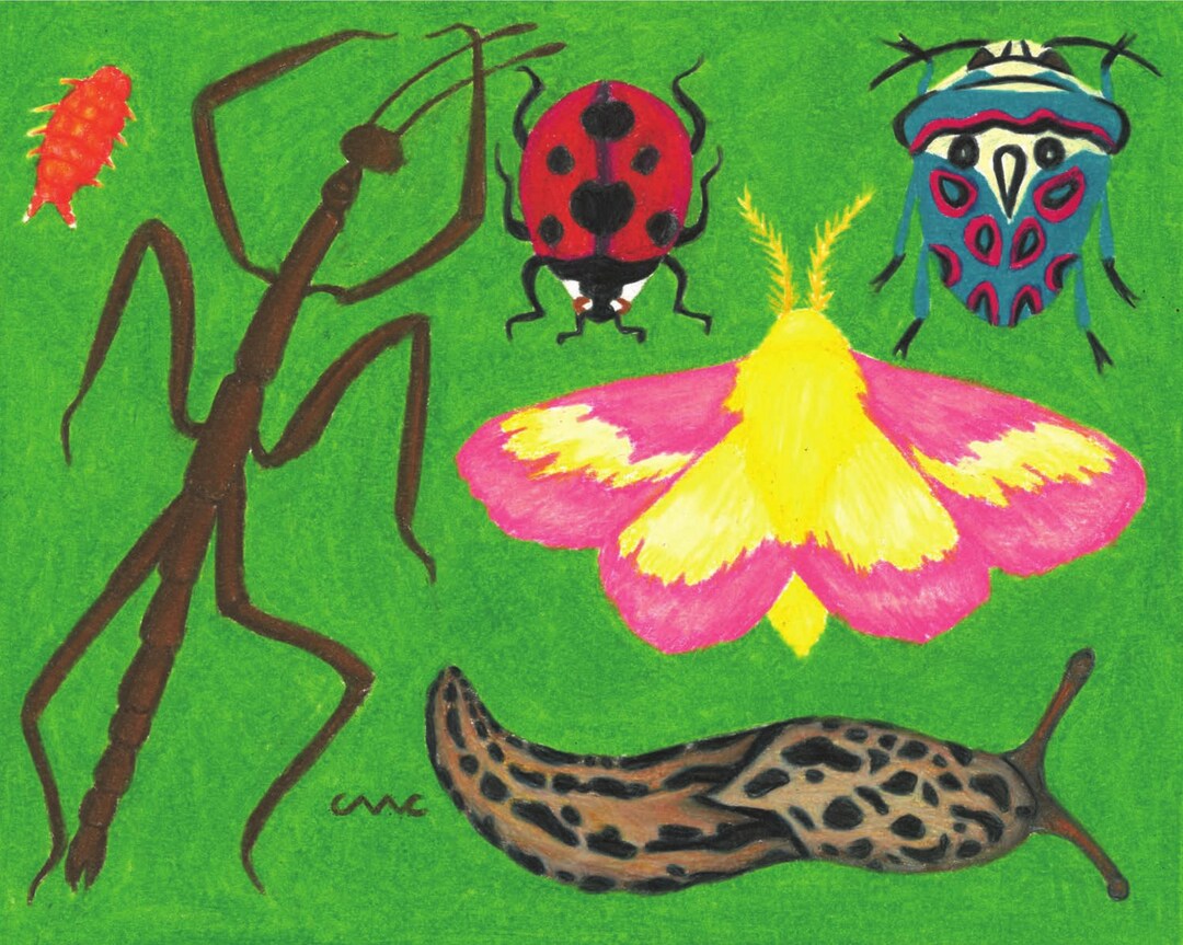 Bugs Art Print, Limited Edition, Original Artwork - Etsy