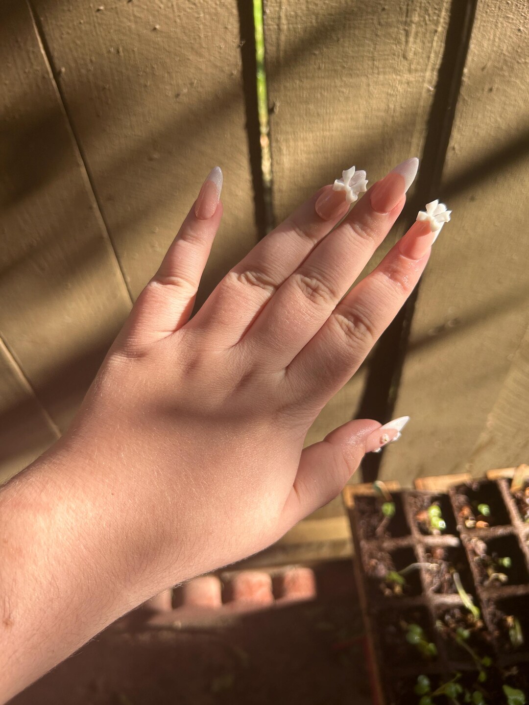 Simple White Frenchies With Light Glitter and Bows - Etsy