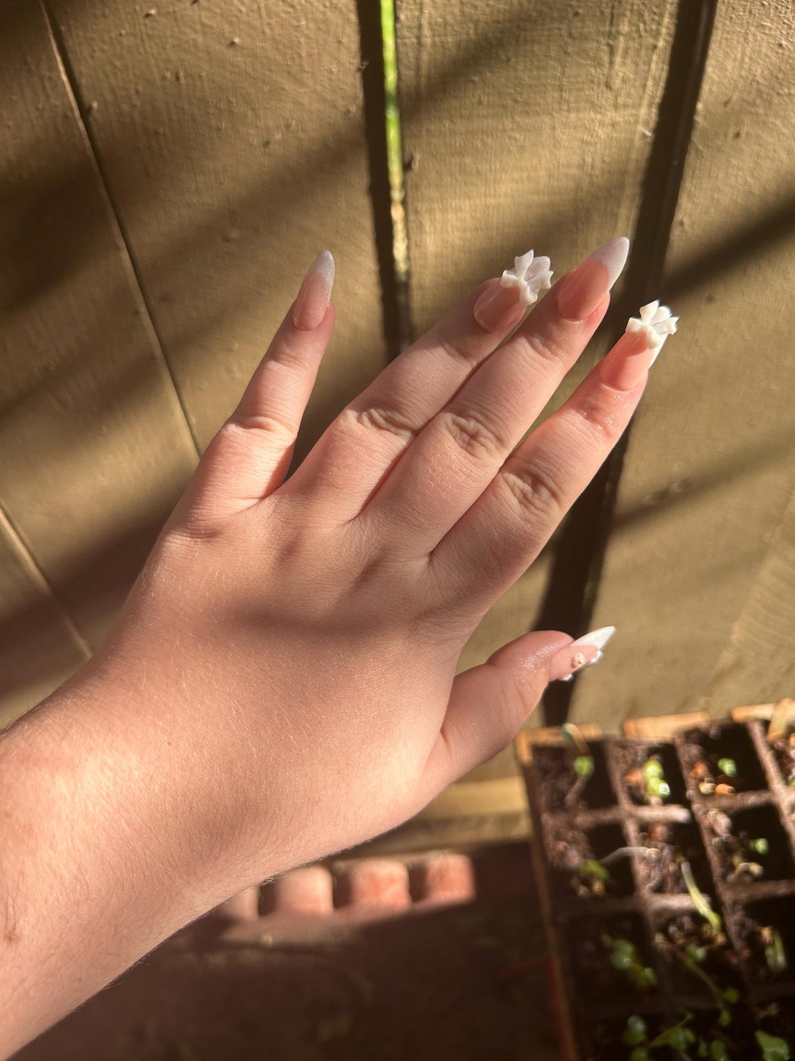 Simple White Frenchies With Light Glitter and Bows - Etsy