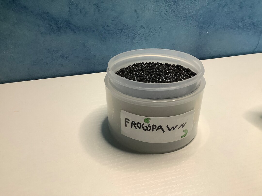 Frogspawn| Frog Themed Slime Gifts for Kids Scented Sensory Toy Putty ...