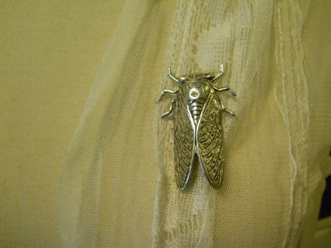 Insect Brooch Large Cicada Bug Pin Golden Brass Garden | Etsy